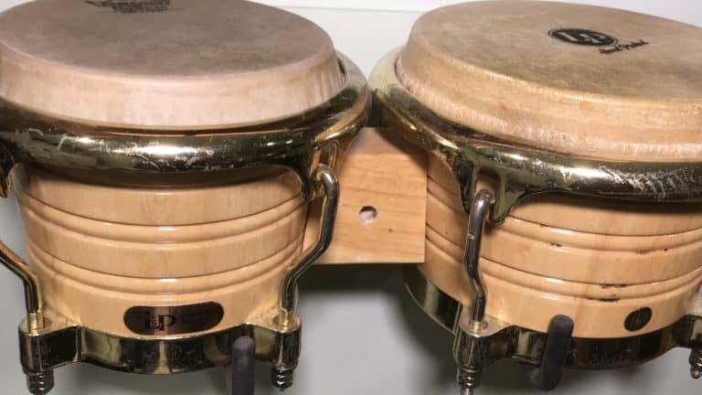 Congas and Bongos - 10 Differences Between These Drums