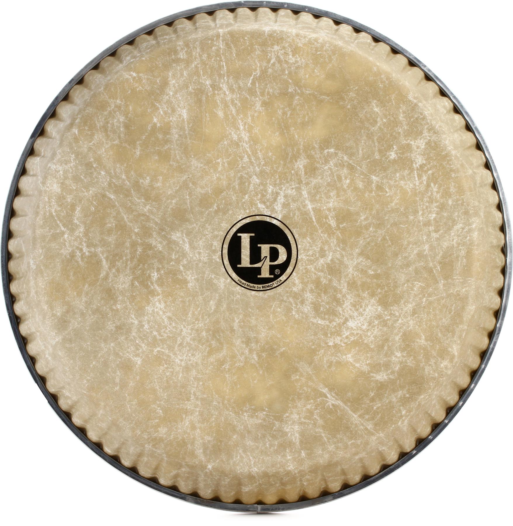 Best Replacement Head for Congas or Bongo - Real or Fake? - Rhythm Notes